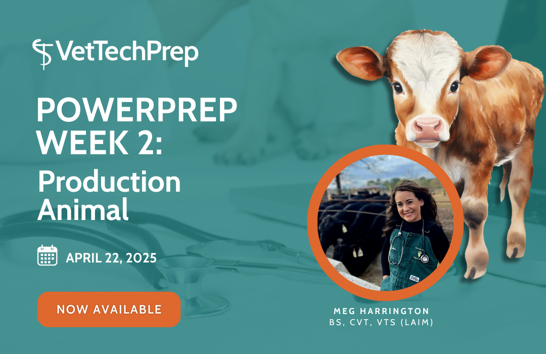 VTP-Production Animal- PowerPrep